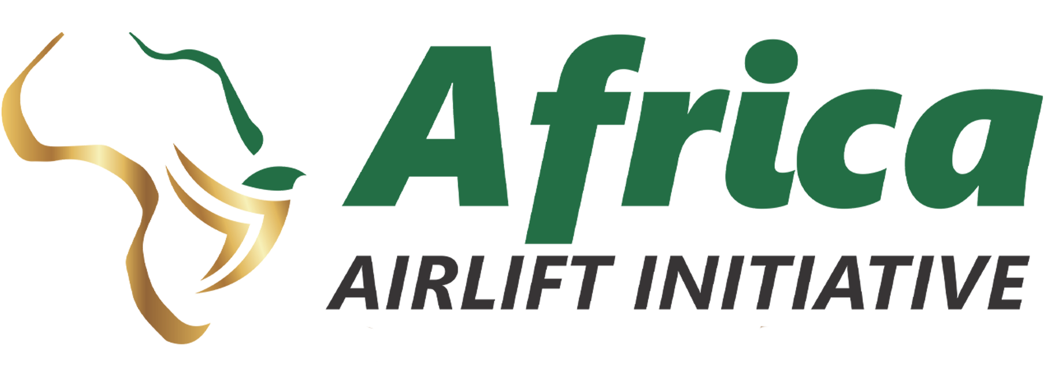 Africa Airlift Initiative africa-airlift-initiative